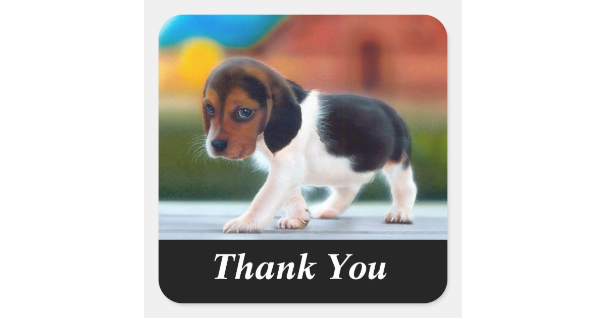 Thank You Cute Beagle Puppy Dog Sticker | Zazzle
