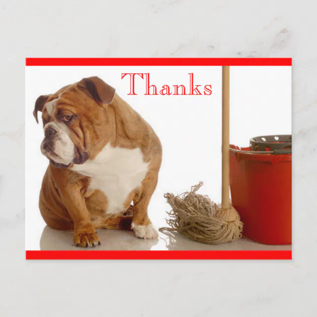 Thank You English Bulldog Pup Greeting Postcard | Zazzle