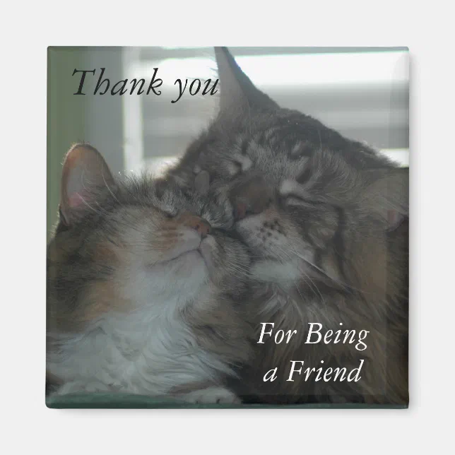 Thank you for being a friend Magnet | Zazzle