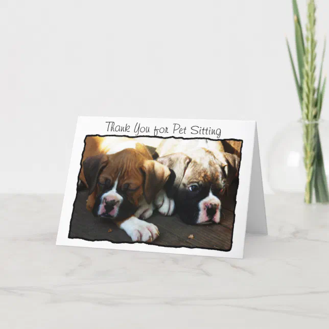 Thank You for Pet Sitting Boxer greeting card | Zazzle
