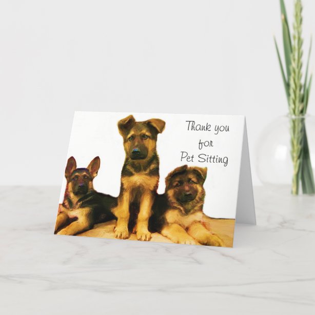 65-german-shepherd-thank-you-cards-zazzle