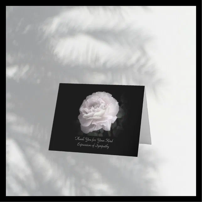 Thank You for Sympathy, One Pale Pink Rose | Zazzle