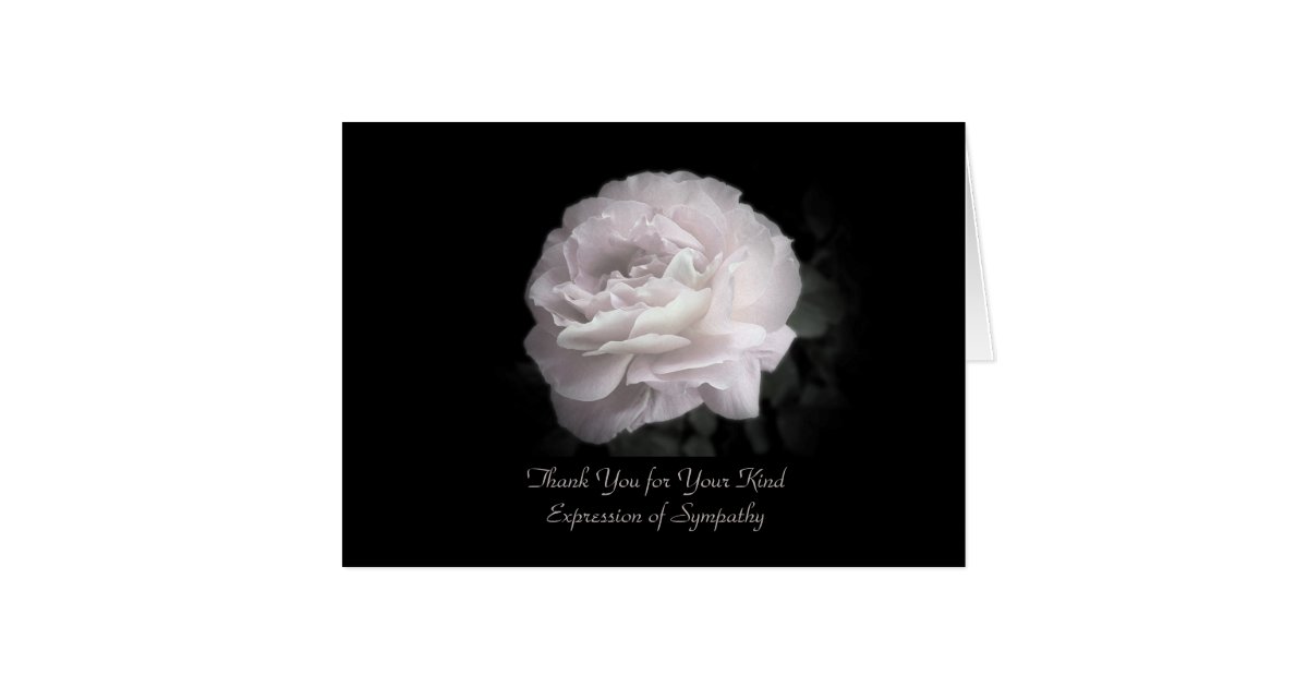 Thank You For Sympathy One Pale Pink Rose Card Zazzle