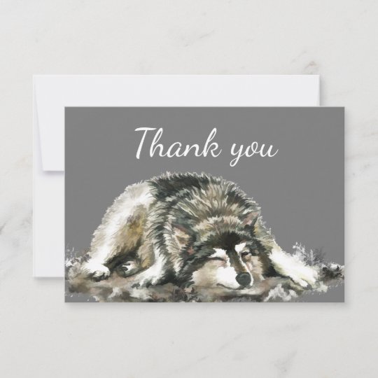 Thank You Fun Watercolor Sleeping Wolf Animal Art | Zazzle.com