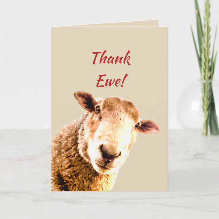 Thank You Funny Sheep Animal Humor | Zazzle