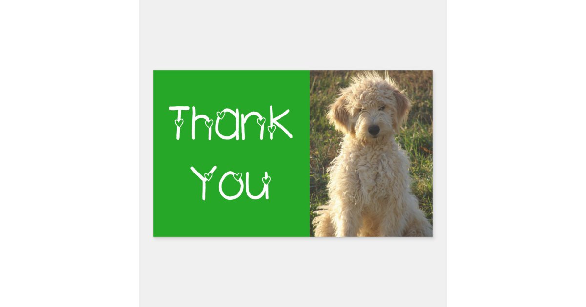 Thank You Goldendoodle Puppy Dog Sticker / Label | Zazzle
