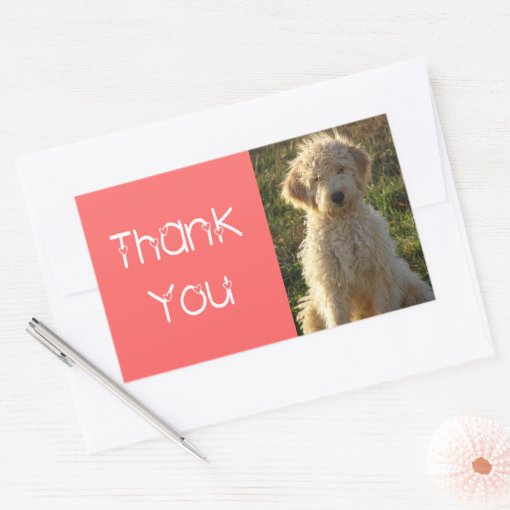Thank You Goldendoodle Puppy Dog Sticker / Label | Zazzle