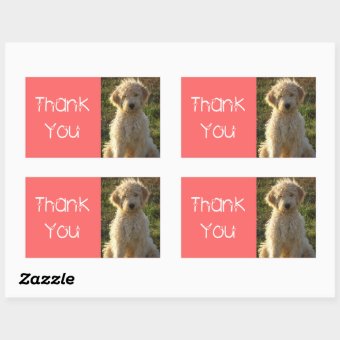 Thank You Goldendoodle Puppy Dog Sticker / Label | Zazzle