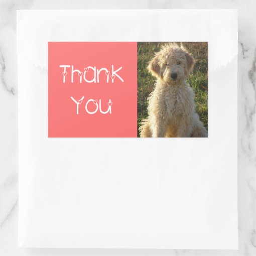 Thank You Goldendoodle Puppy Dog Sticker / Label | Zazzle