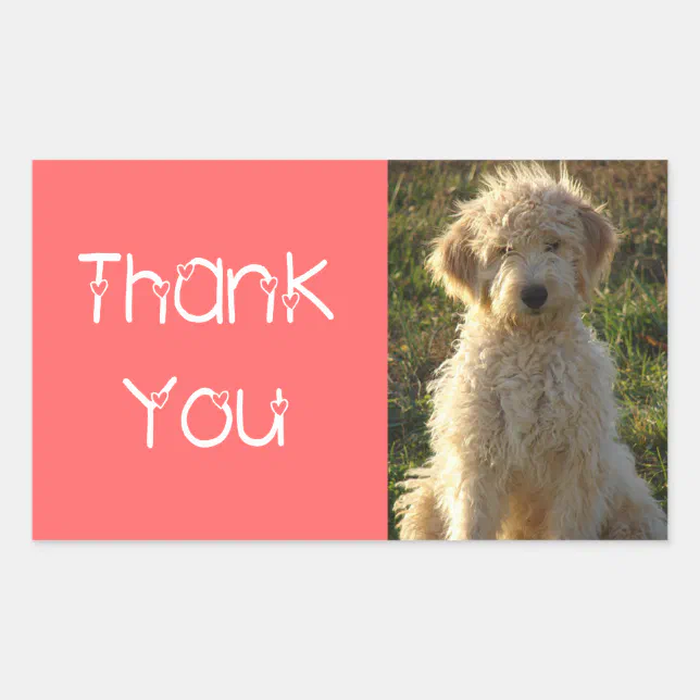 Thank You Goldendoodle Puppy Dog Sticker / Label | Zazzle