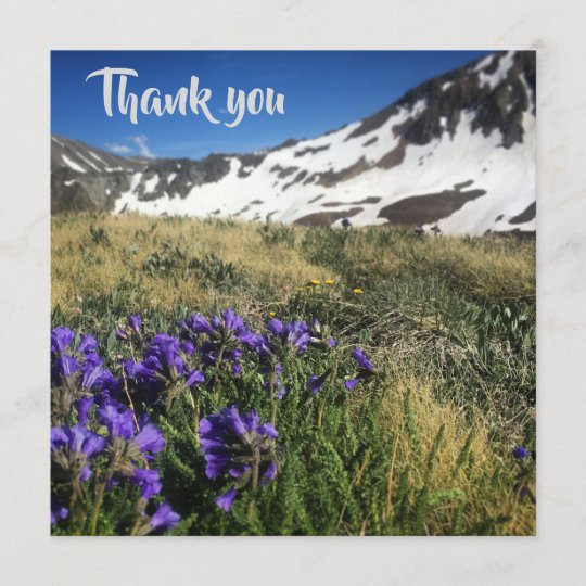 Thank you _ Greeting card w/mountains | Zazzle.com