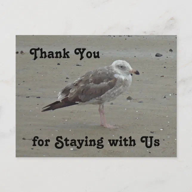 Thank You Guest Beach House Rental Painted Seagull Postcard | Zazzle