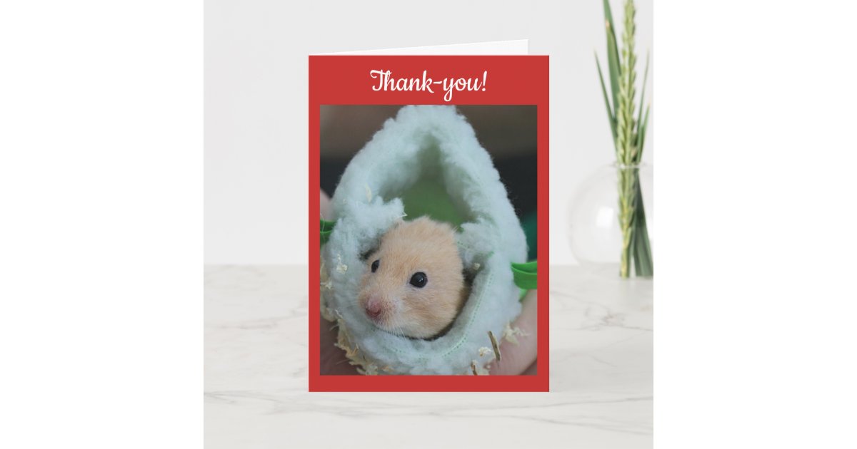 Thank-You Holiday Hamster Thank You Card | Zazzle