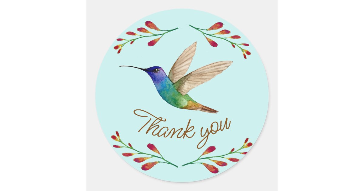 Thank You Hummingbird Classic Round Sticker | Zazzle