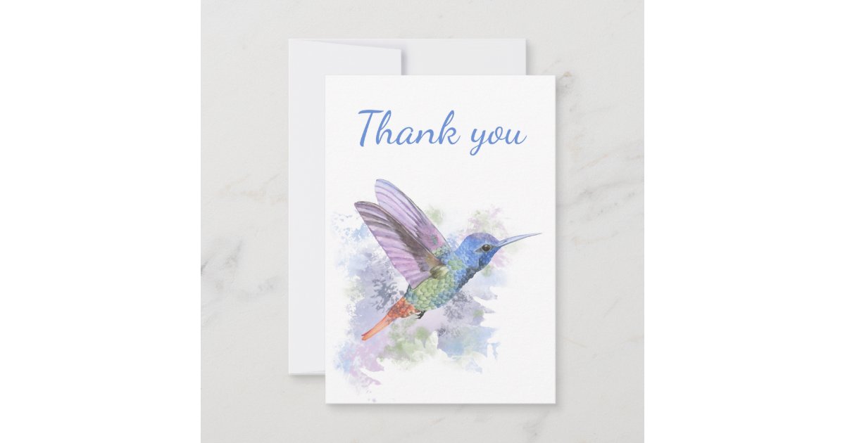 Thank You Hummingbird Garden Bird Nature Art | Zazzle