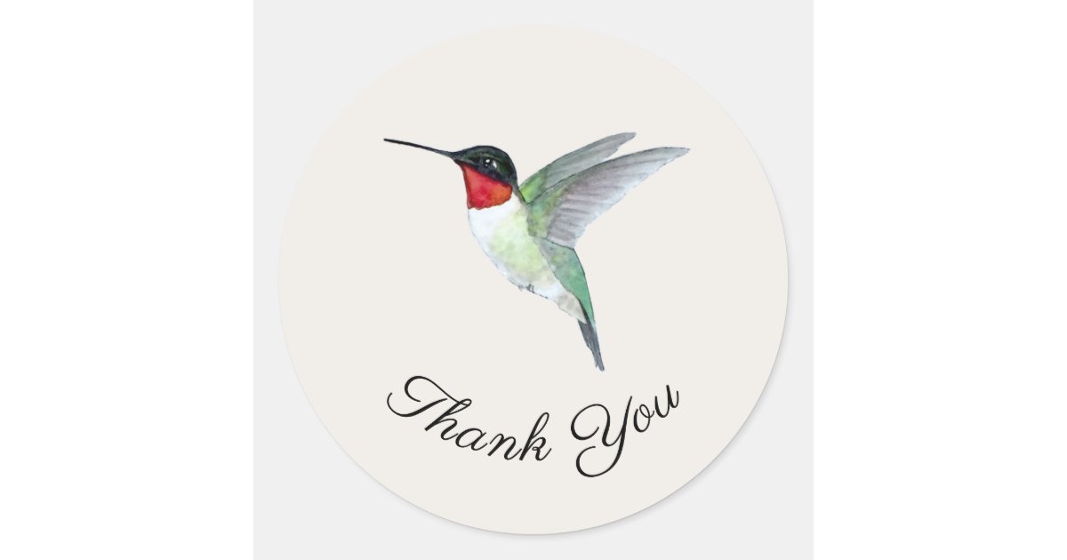 Thank You Hummingbird Sticker | Zazzle