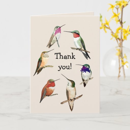 Thank you Hummingbirds Card | Zazzle