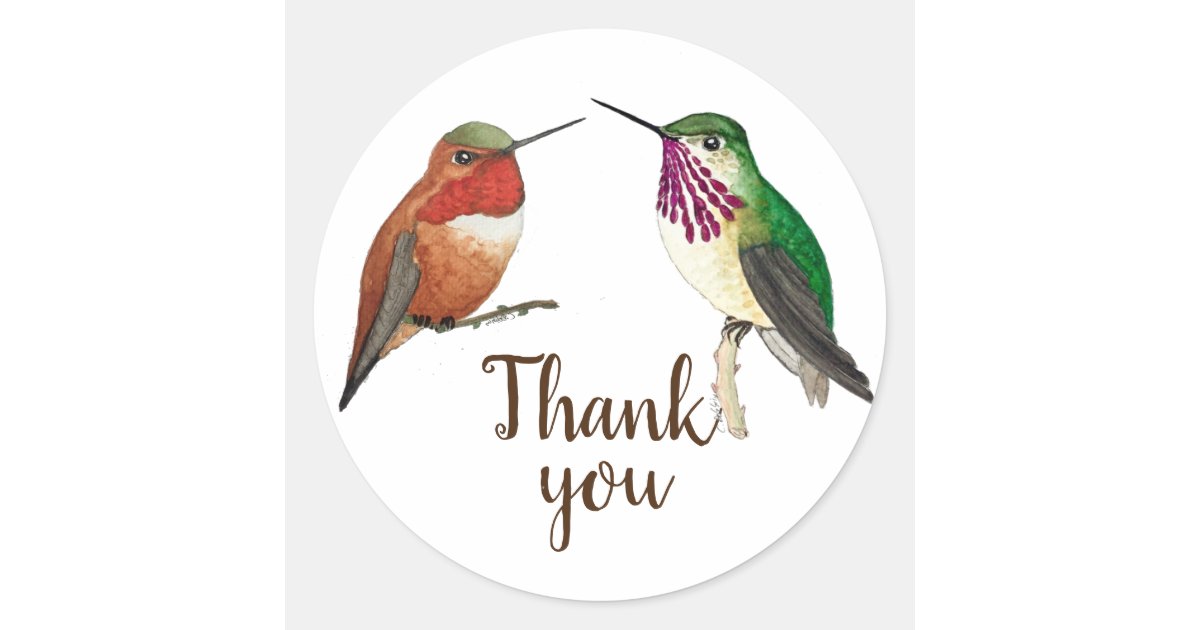 Thank you Hummingbirds Classic Round Sticker | Zazzle