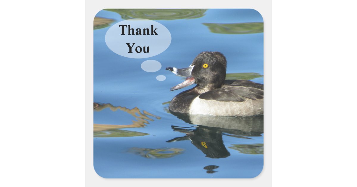 Thank You Humorous Duck Appreciation Square Sticker | Zazzle