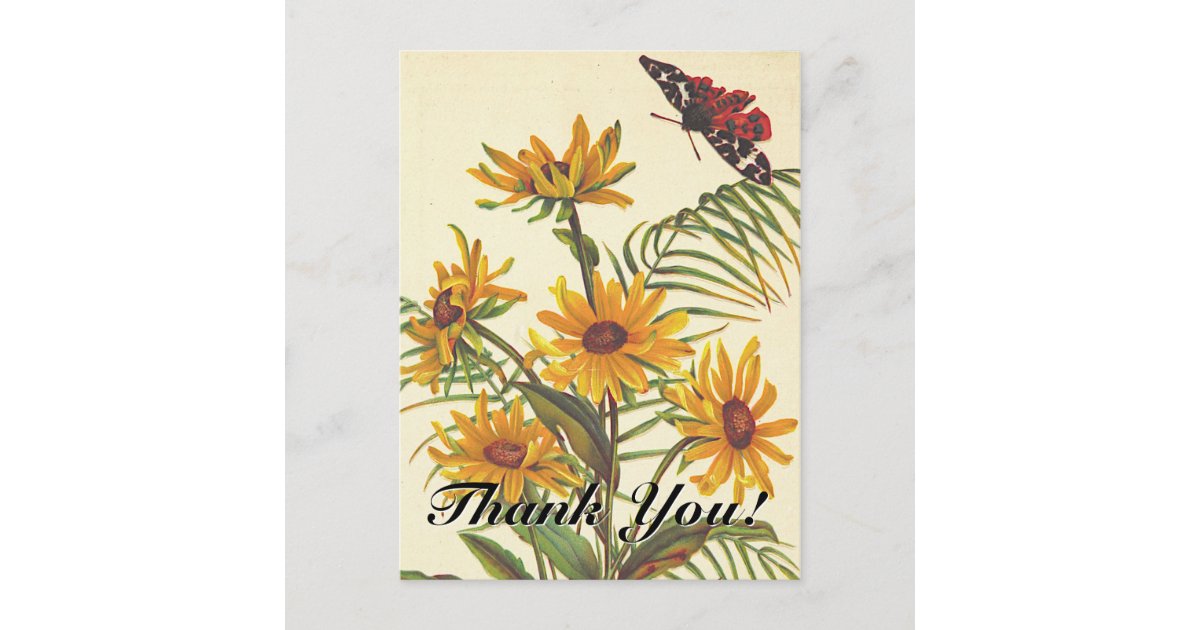 "Thank You!" + Insect, Flowers Postcard | Zazzle