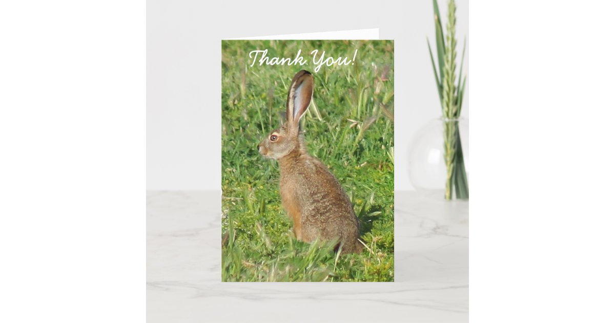 Thank You Jack Rabbit greeting card | Zazzle