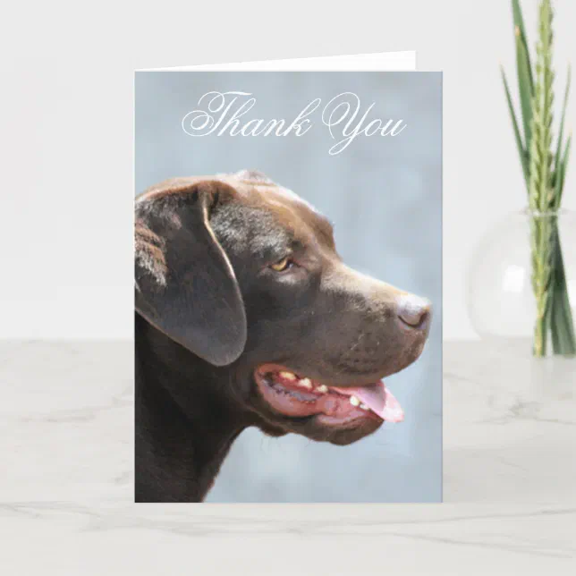Thank You Labrador Retriever dog greeting card | Zazzle