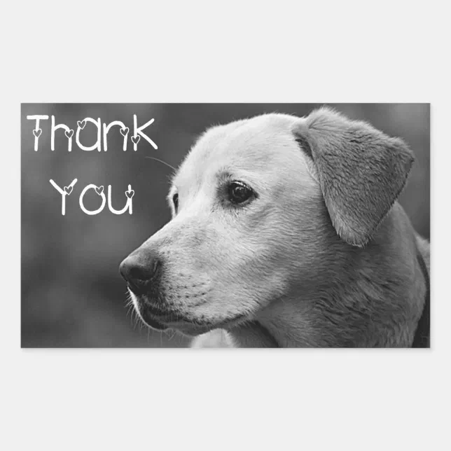 Thank You Labrador Retriever Puppy Dog Sticker | Zazzle