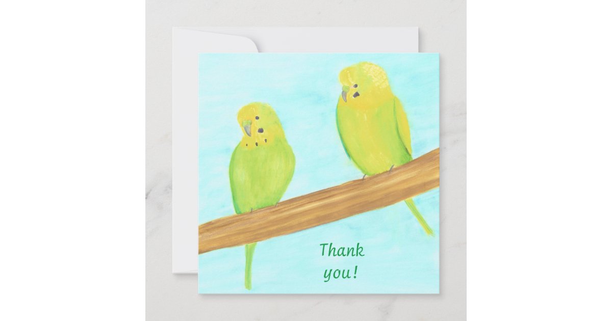 Thank you, Love Birds Parakeets cards | Zazzle