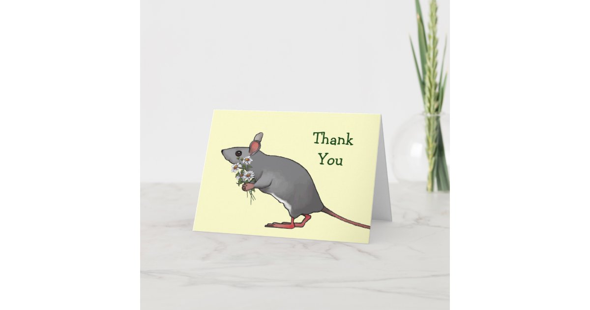 Thank You: Mouse Carrying Bouquet of Daisies Thank You Card | Zazzle