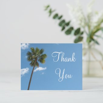Thank You palm tree Postcard | Zazzle