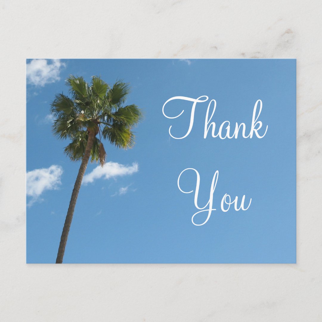 Thank You palm tree Postcard | Zazzle