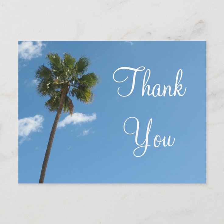 Thank You palm tree Postcard | Zazzle