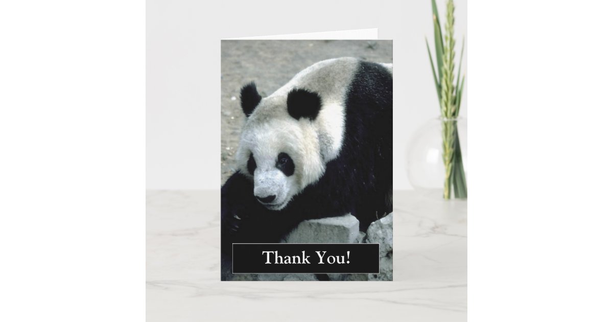 Thank You Panda Bear Card | Zazzle