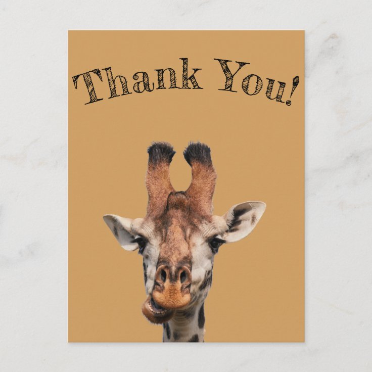 thank you,photo of funny giraffe,minimalist postcard | Zazzle