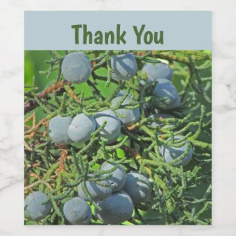 Thank You Pine Tree Berries Nature Appreciation Wine Label | Zazzle
