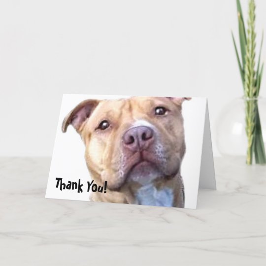 Thank You Pitbull greeting card | Zazzle.com