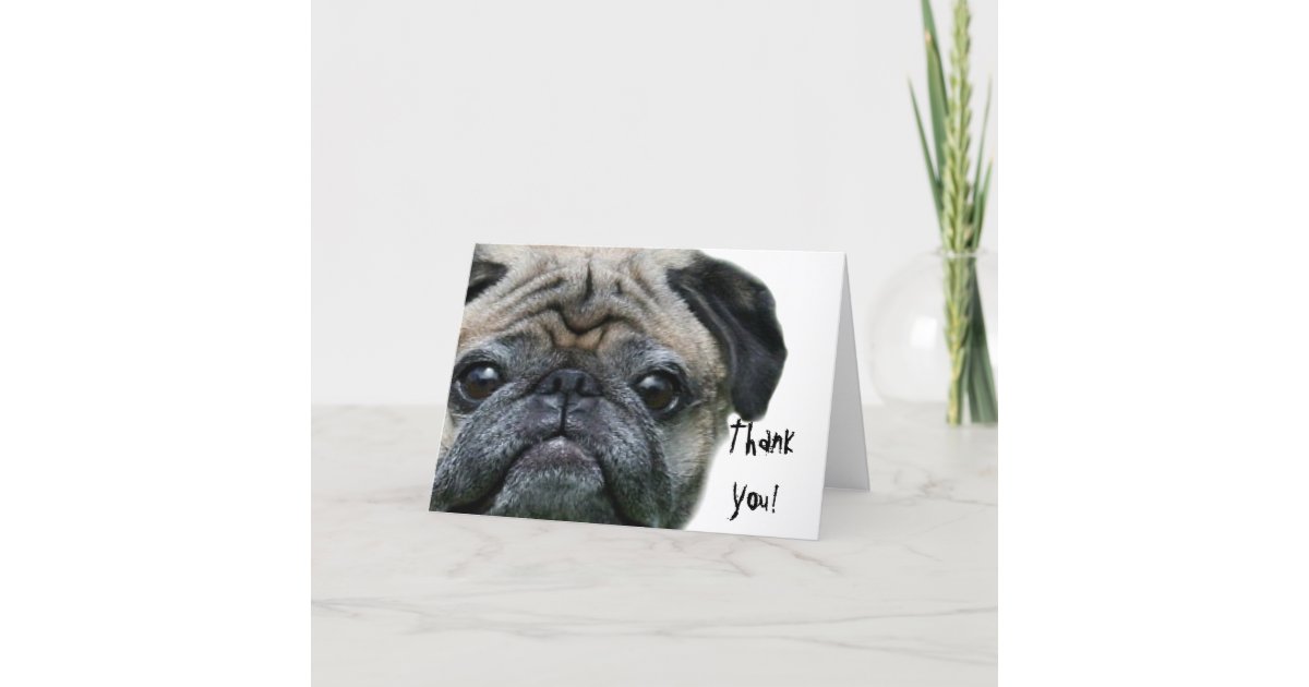 Thank You pug greeting card | Zazzle