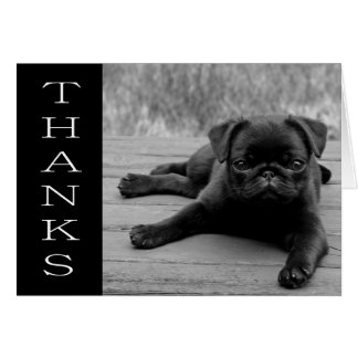 Pug Thank You Cards | Zazzle