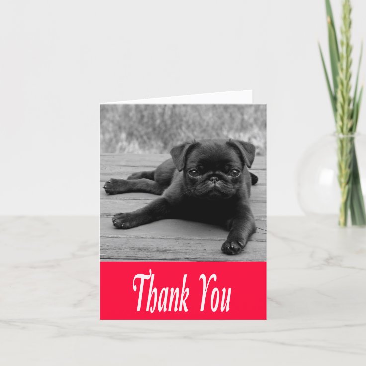 Thank You Pug Puppy Pink, Black & White Note Card | Zazzle