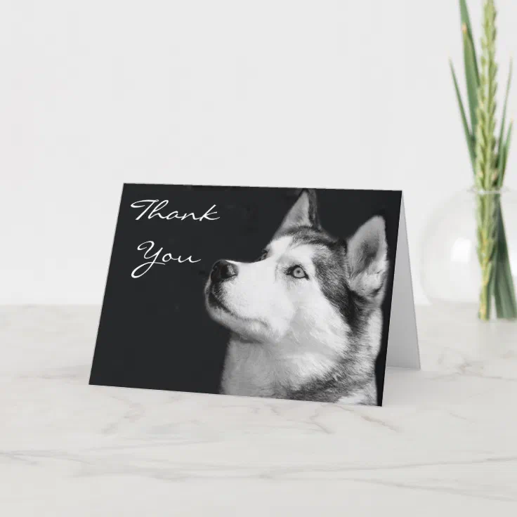 Thank You Siberian Husky Greeting Card | Zazzle