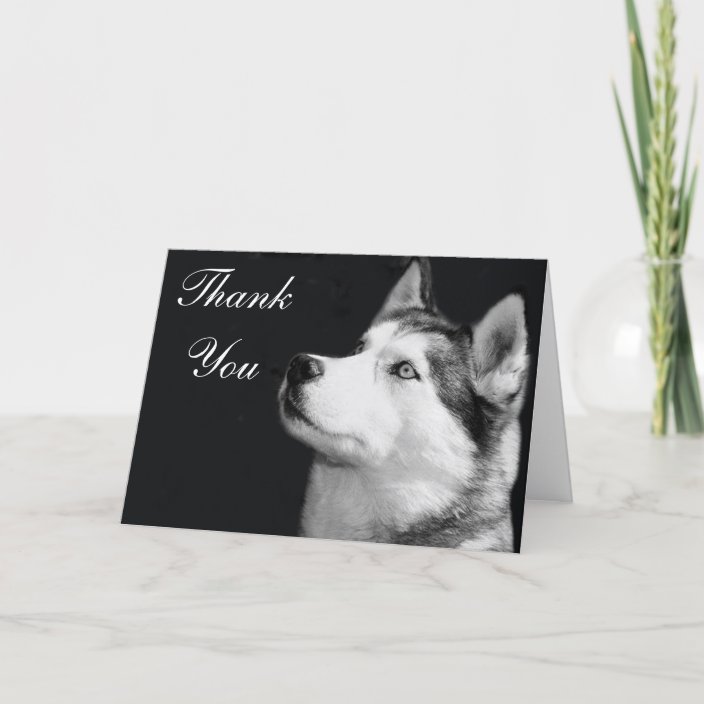 Thank You Siberian Husky Greeting Card | Zazzle.com