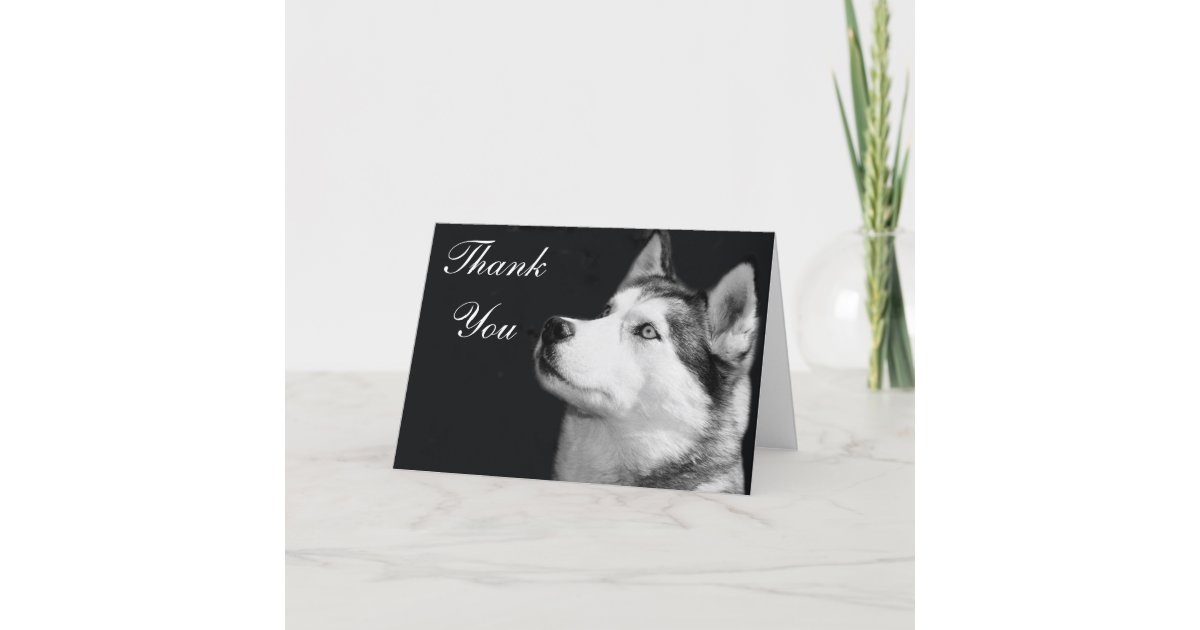 Thank You Siberian Husky Greeting Card | Zazzle