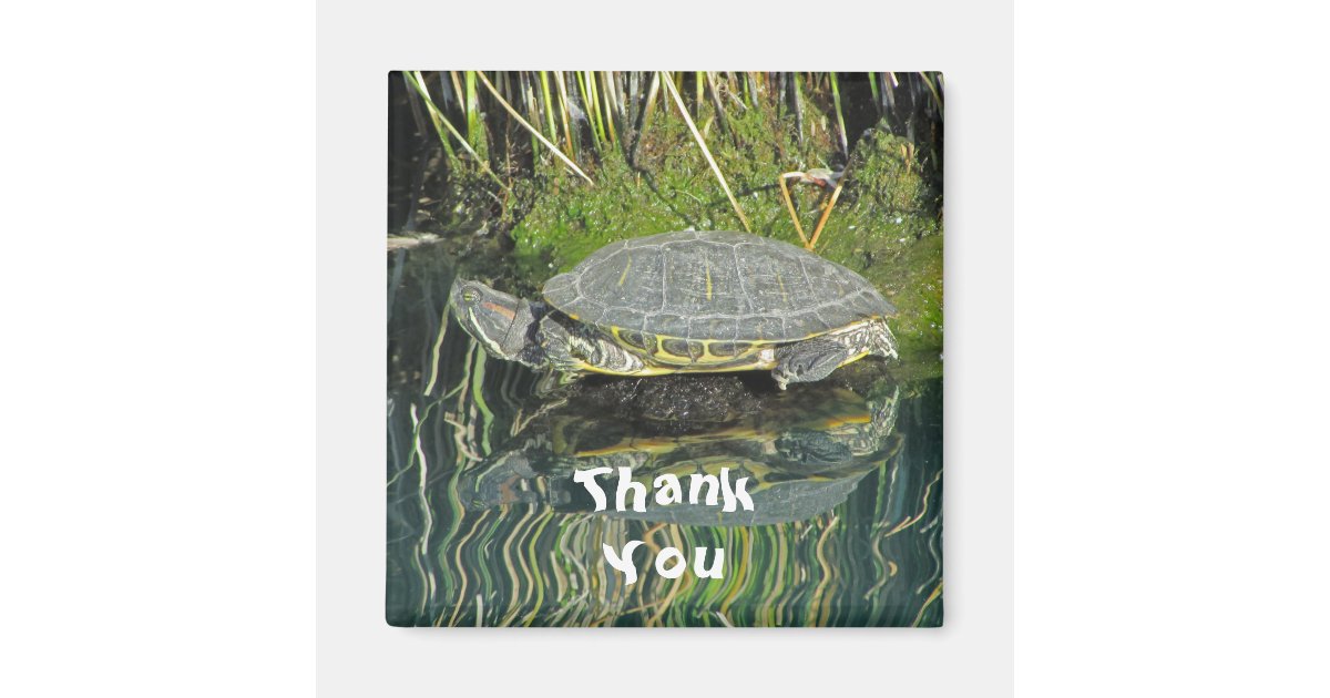 Thank You Turtle Photo with Reflection Nature Magnet | Zazzle