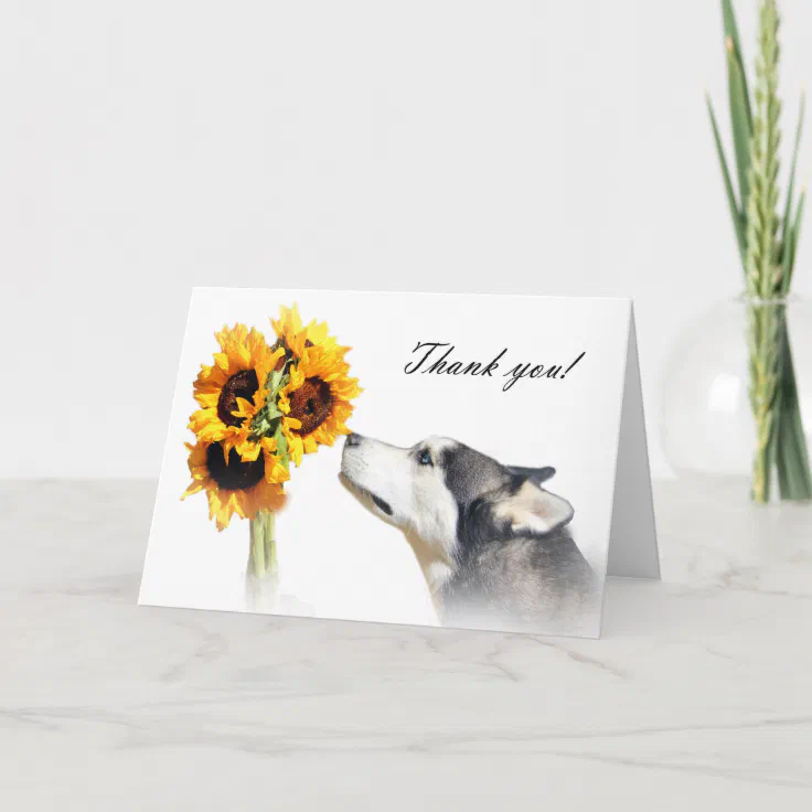 Thank You Veterinarian Card with Husky and Flowers | Zazzle