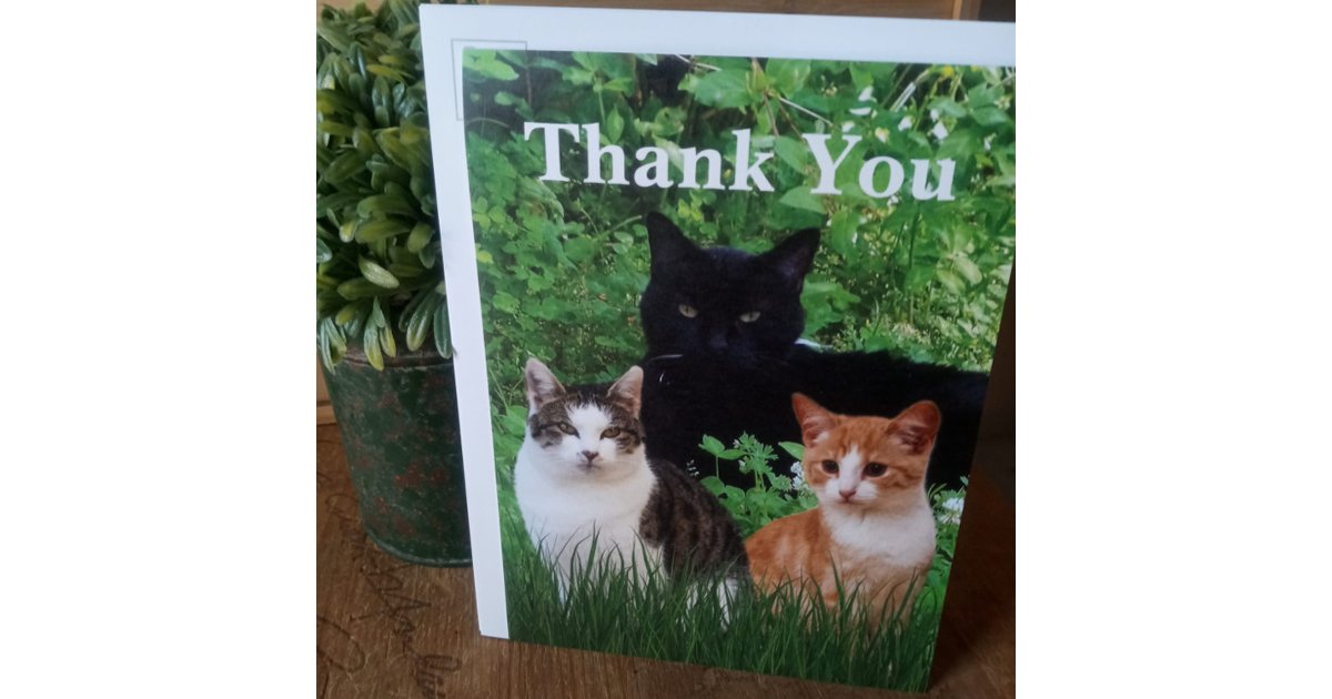 Thank You Veterinarian with Greeting Card | Zazzle
