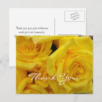 thank you volunteer yellow rose flowers postcard | Zazzle