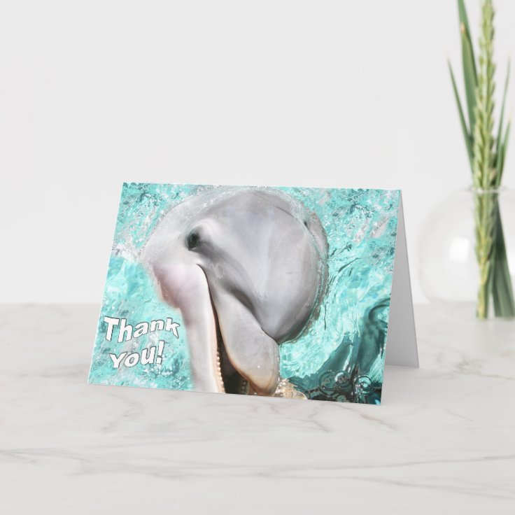 Thank You With Smiling Dolphin Card | Zazzle