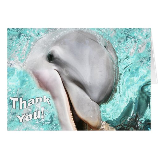 Thank You With Smiling Dolphin Card | Zazzle