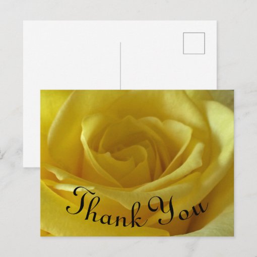 Thank You Yellow Rose Photo Appreciation Postcard | Zazzle
