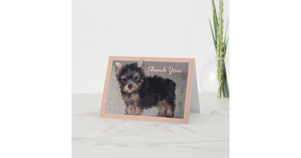 Thank You Yorkshire puppy greeting card | Zazzle